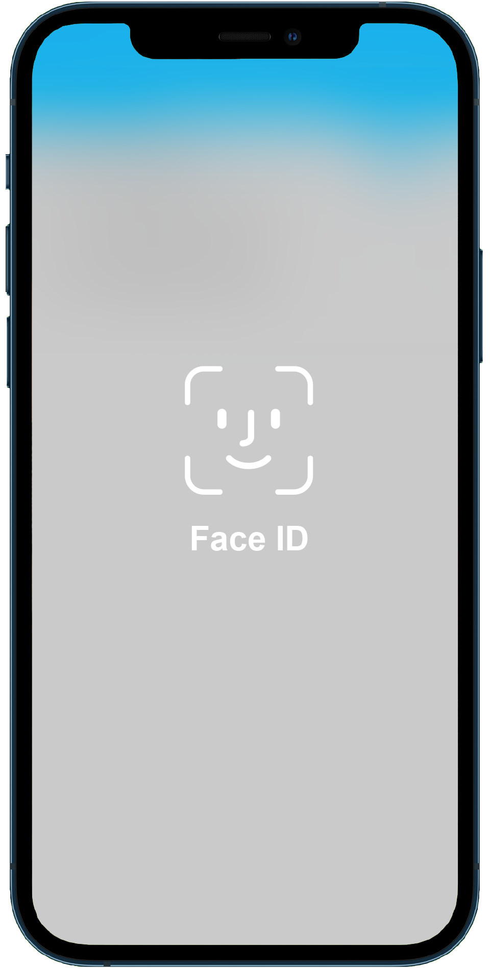 Mobile Token and Biometric Credential Authentication Service | e ...