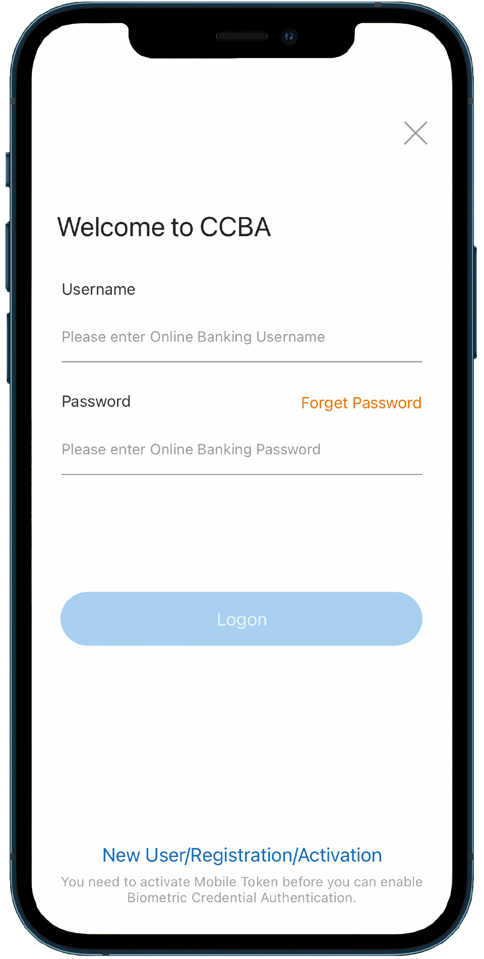 Mobile Token and Biometric Credential Authentication Service | e ...