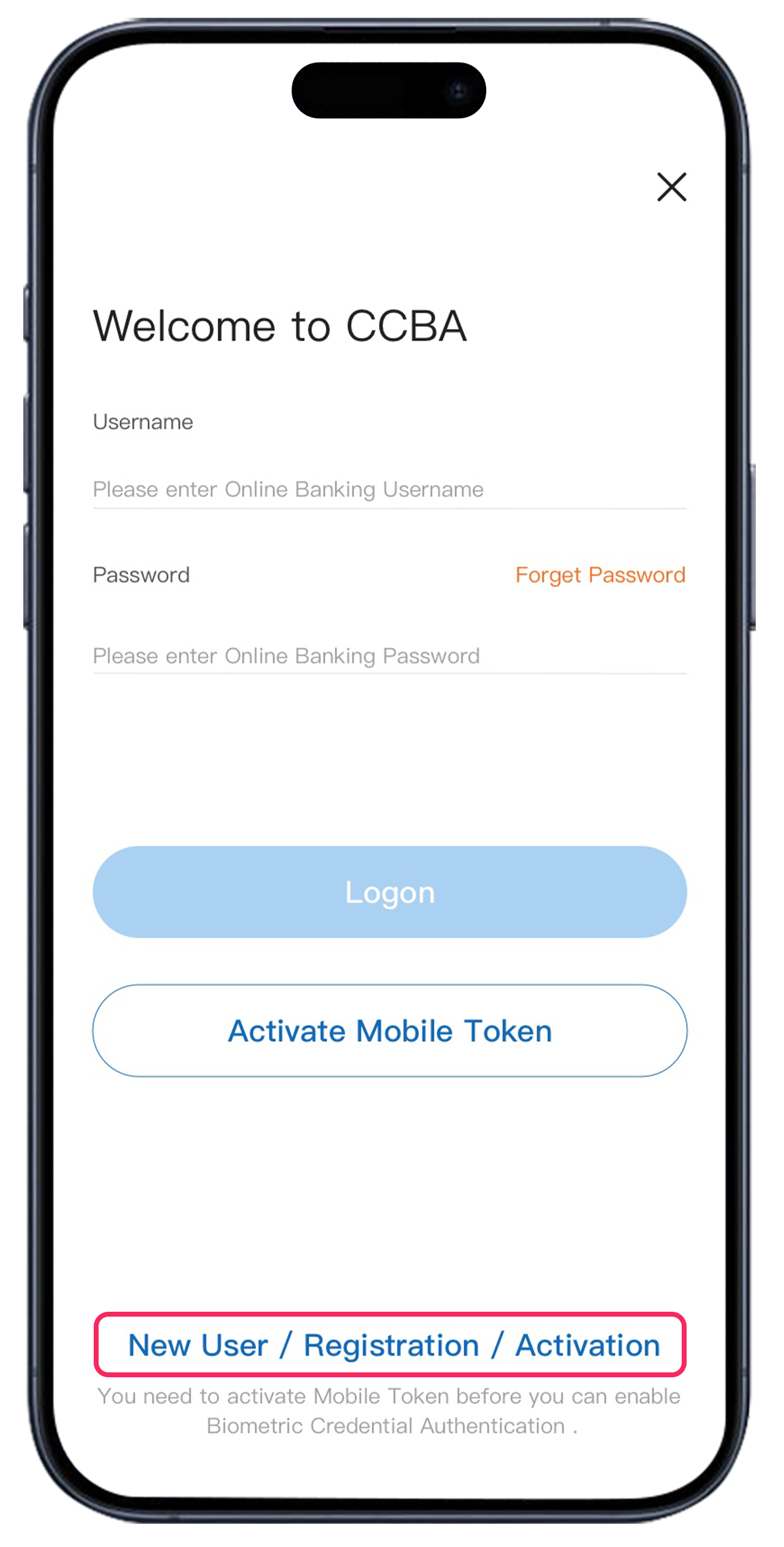 Credit Card Installment Loans Program | CCB (Asia)